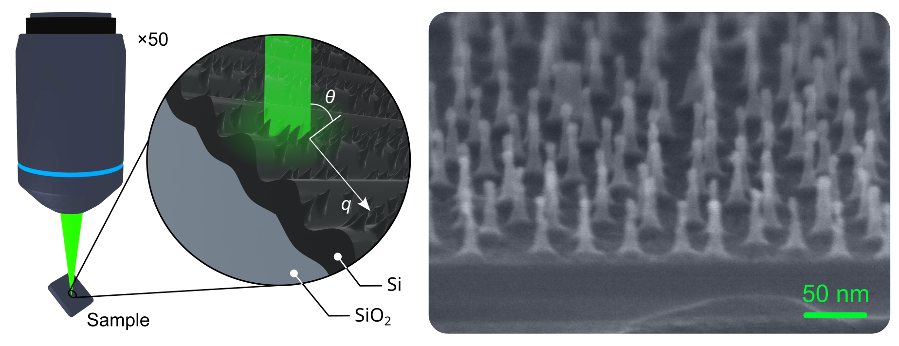 Impact of nanopillars on phonon dispersion and thermal conductivity of ...
