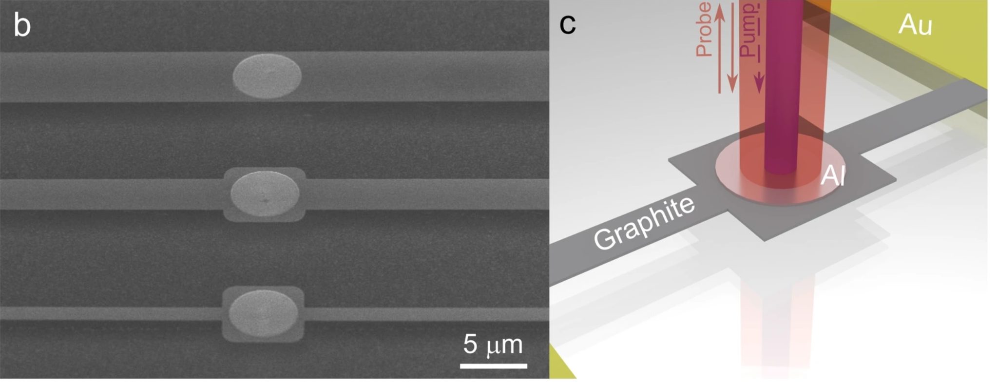 Observation of phonon Poiseuille flow in isotopically purified graphite ...
